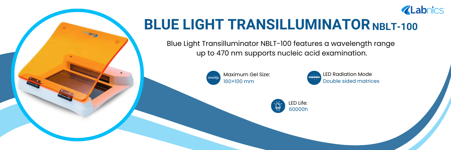 Blue Light Transilluminator NBLT-100 | Labnics Transilluminator