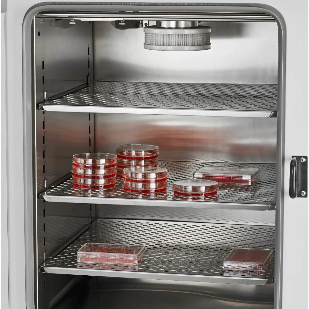 High Heat Sterilization CO2 Incubator NSCI-100|Incubator Supplier